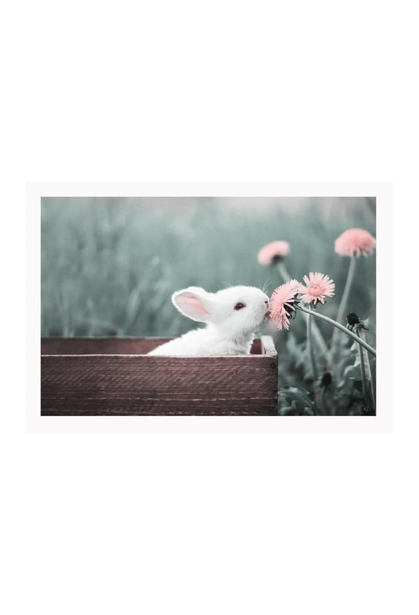 Rabbit – Power House